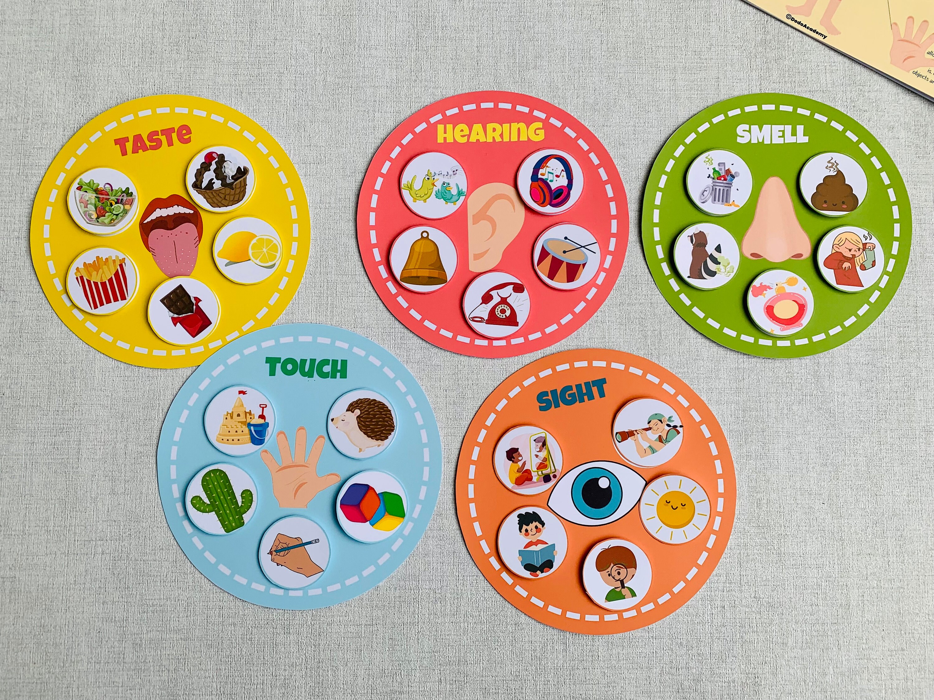 Five Senses Sorting Activity Printable 5 Senses Sorting - Etsy Australia