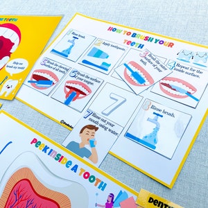 Dental Health Activity Human Anatomy Printable Preschool Toddler ...