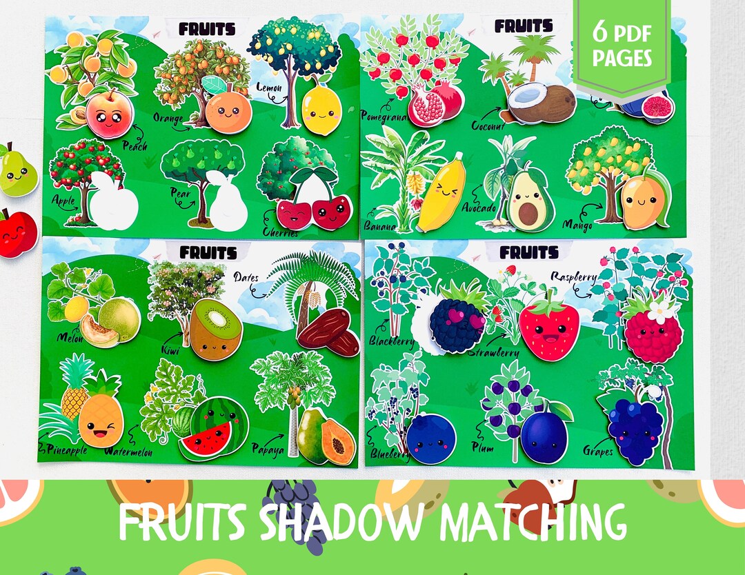 Fruits Sorting Worksheet Fruits and Vegetable Shadow Matching Activity ...