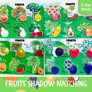 Fruits Sorting Worksheet Fruits and Vegetable Shadow Matching Activity ...