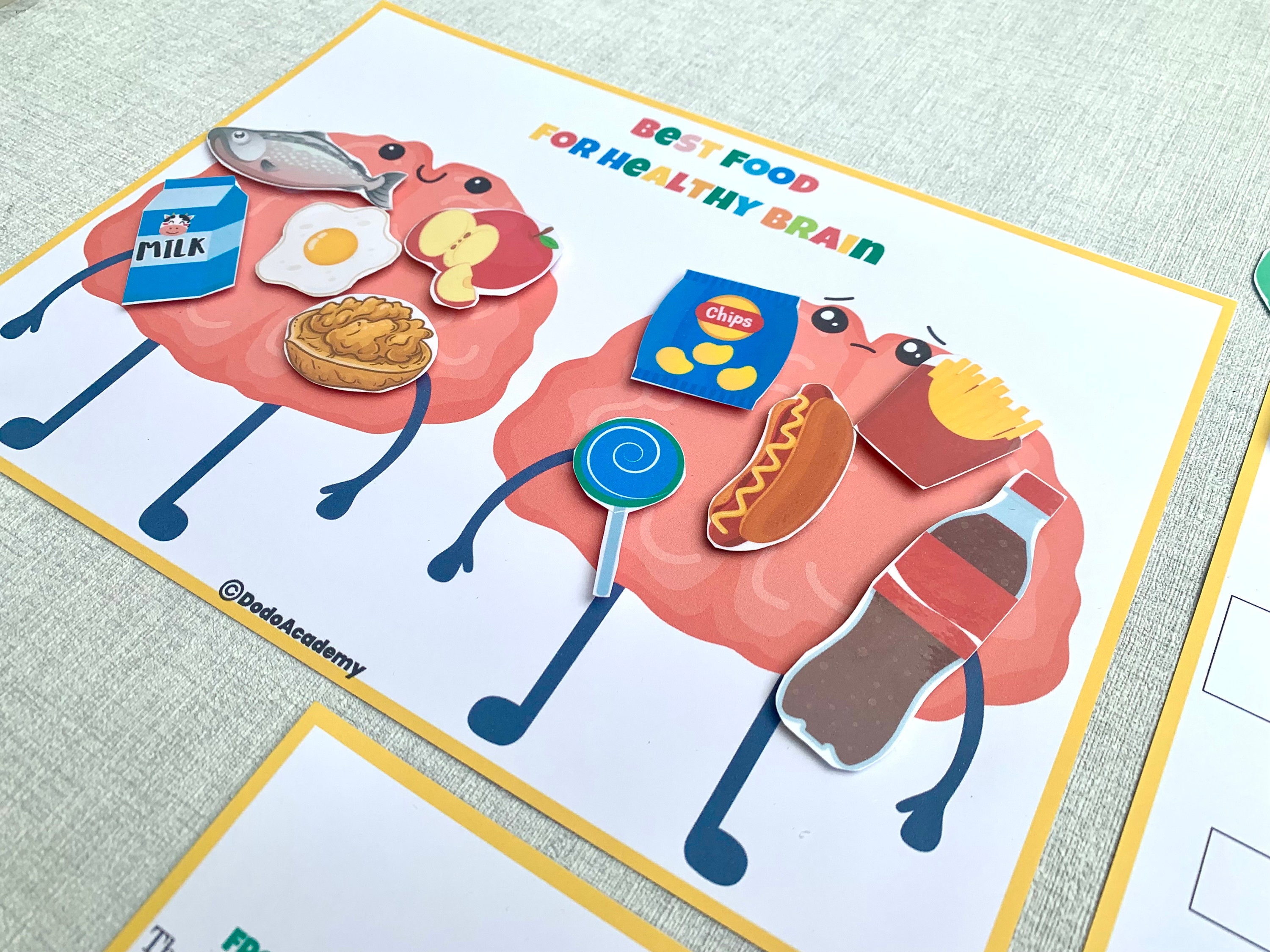 My Amazing Brain Learning Activity Human Anatomy Busy Book Montessori ...