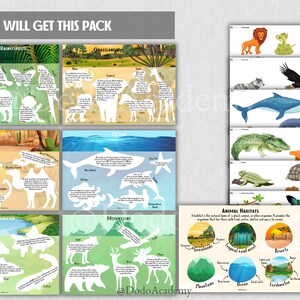 Animal Habitats Matching Game Geography Sorting Activity Animal Fun ...