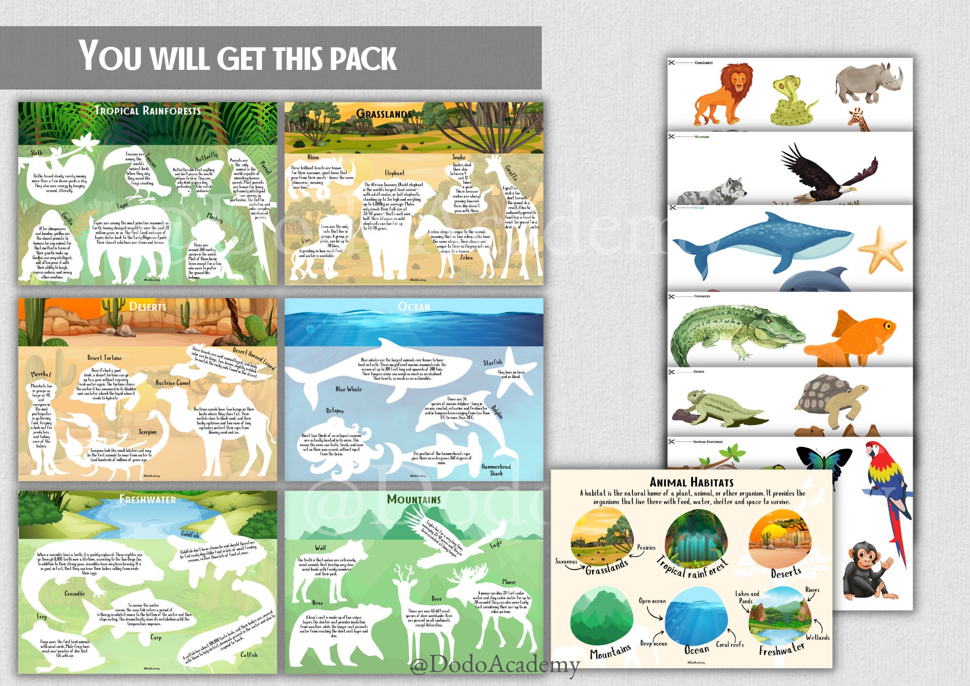 Animal Habitats Matching Game Geography Sorting Activity - Etsy