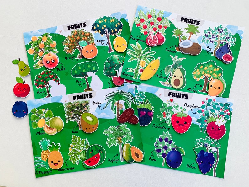Fruits Sorting Worksheet Fruits and Vegetable Shadow Matching Activity ...