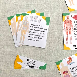 Human Anatomy Busy Book Human Body Systems Body Parts Printable ...