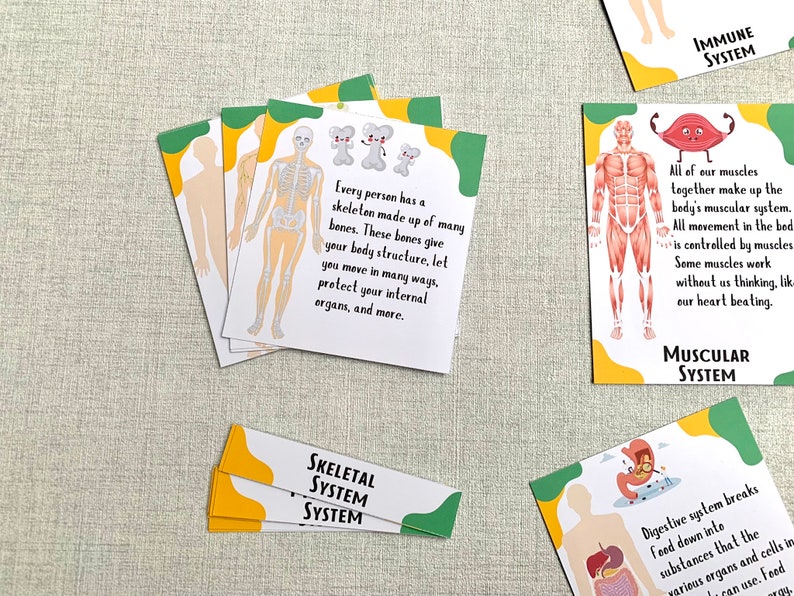 Human Anatomy Busy Book Human Body Systems Body Parts Printable ...