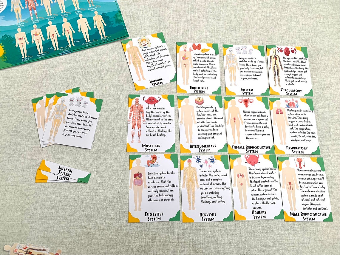 Human Anatomy Busy Book Human Body Systems Body Parts - Etsy