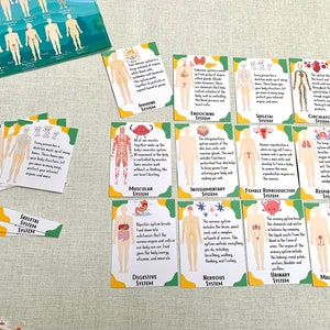 Human Anatomy Busy Book Human Body Systems Body Parts Printable ...