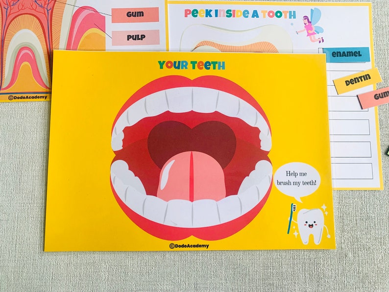 Dental Health Activity Human Anatomy Printable Preschool Toddler ...