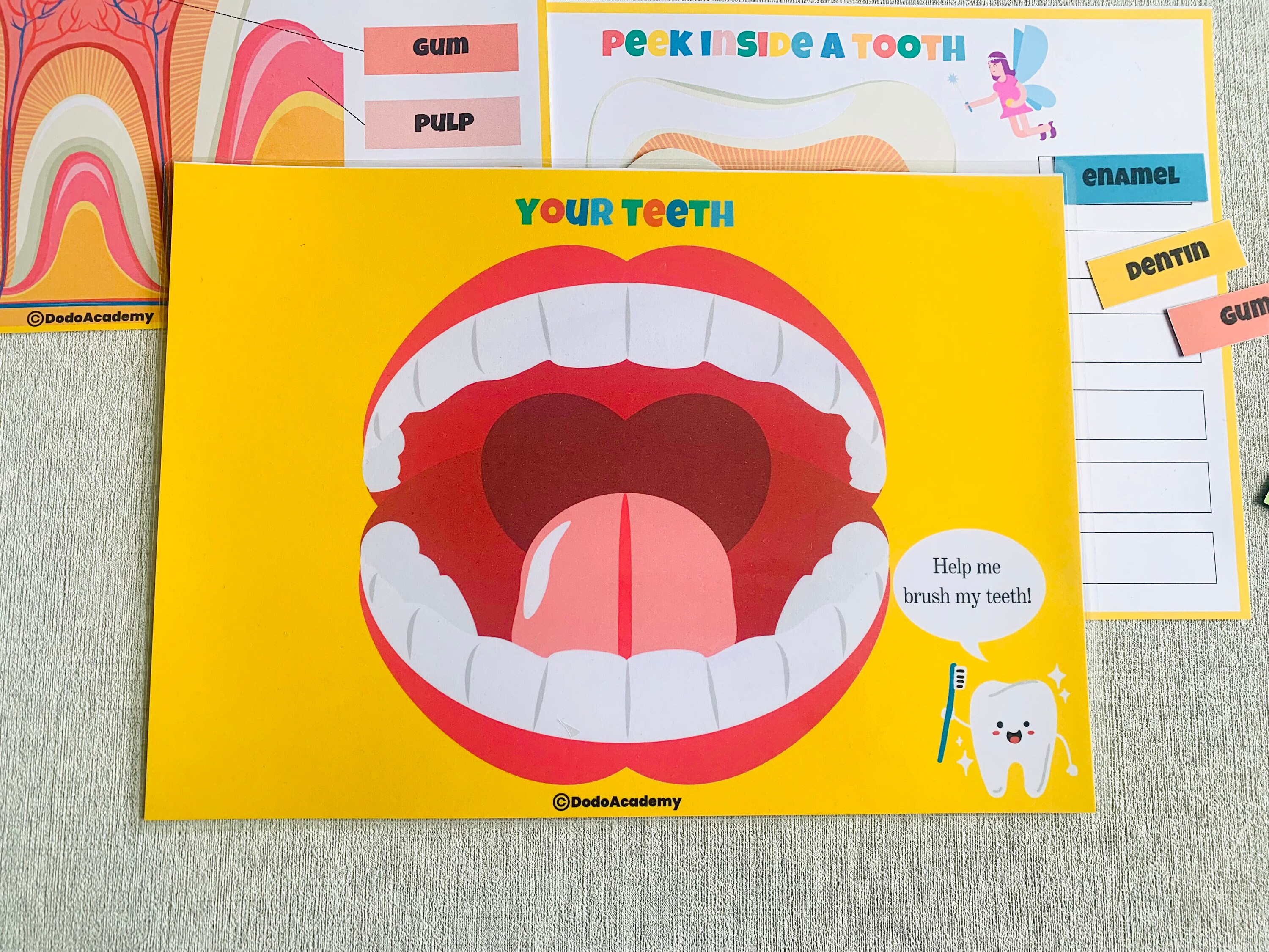 Dental Health Activity Human Anatomy Printable Preschool Toddler ...