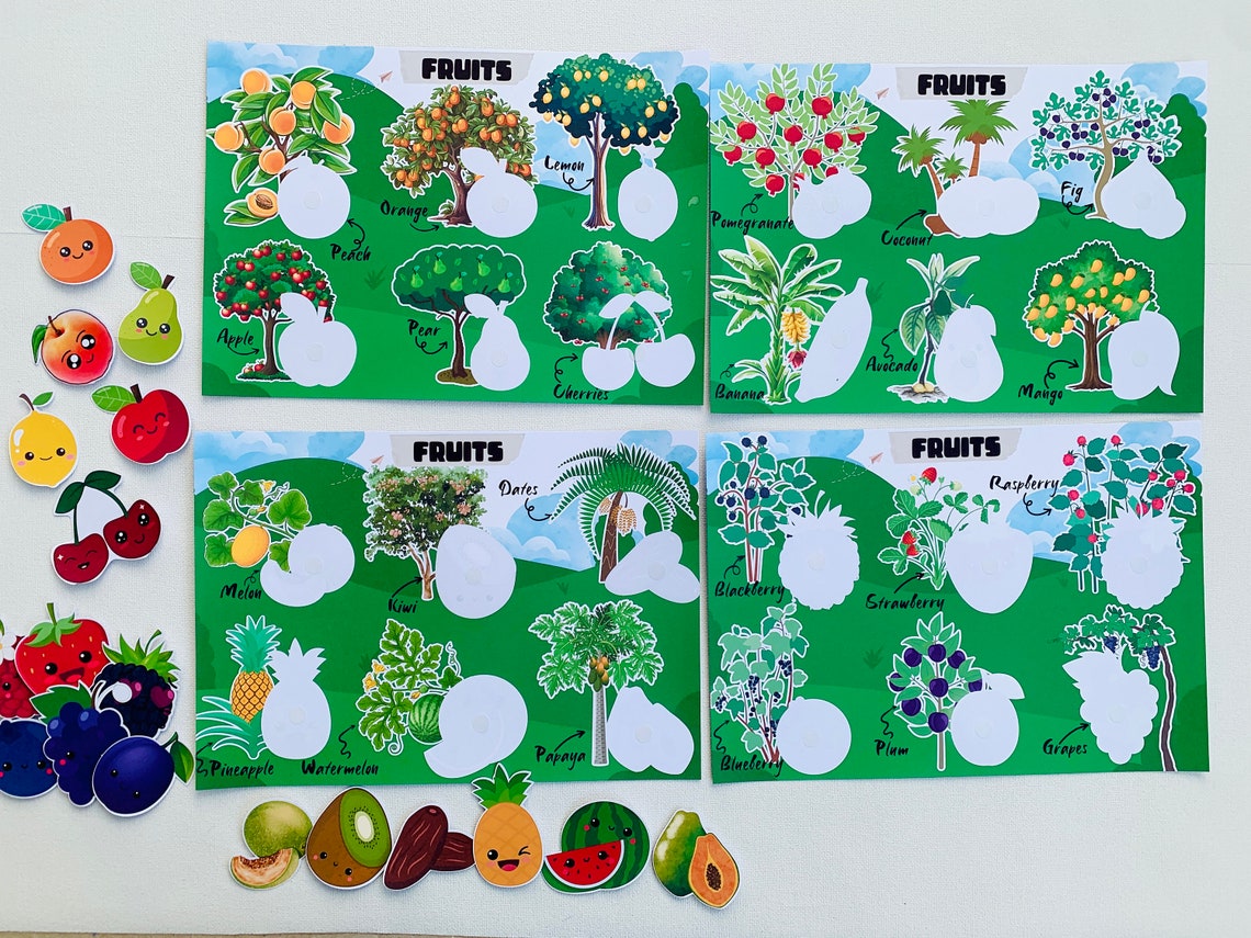 Fruits Sorting Worksheet Fruits and Vegetable Shadow Matching Activity ...