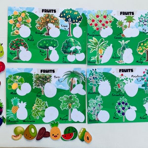 Fruits Sorting Worksheet Fruits and Vegetable Shadow Matching Activity ...