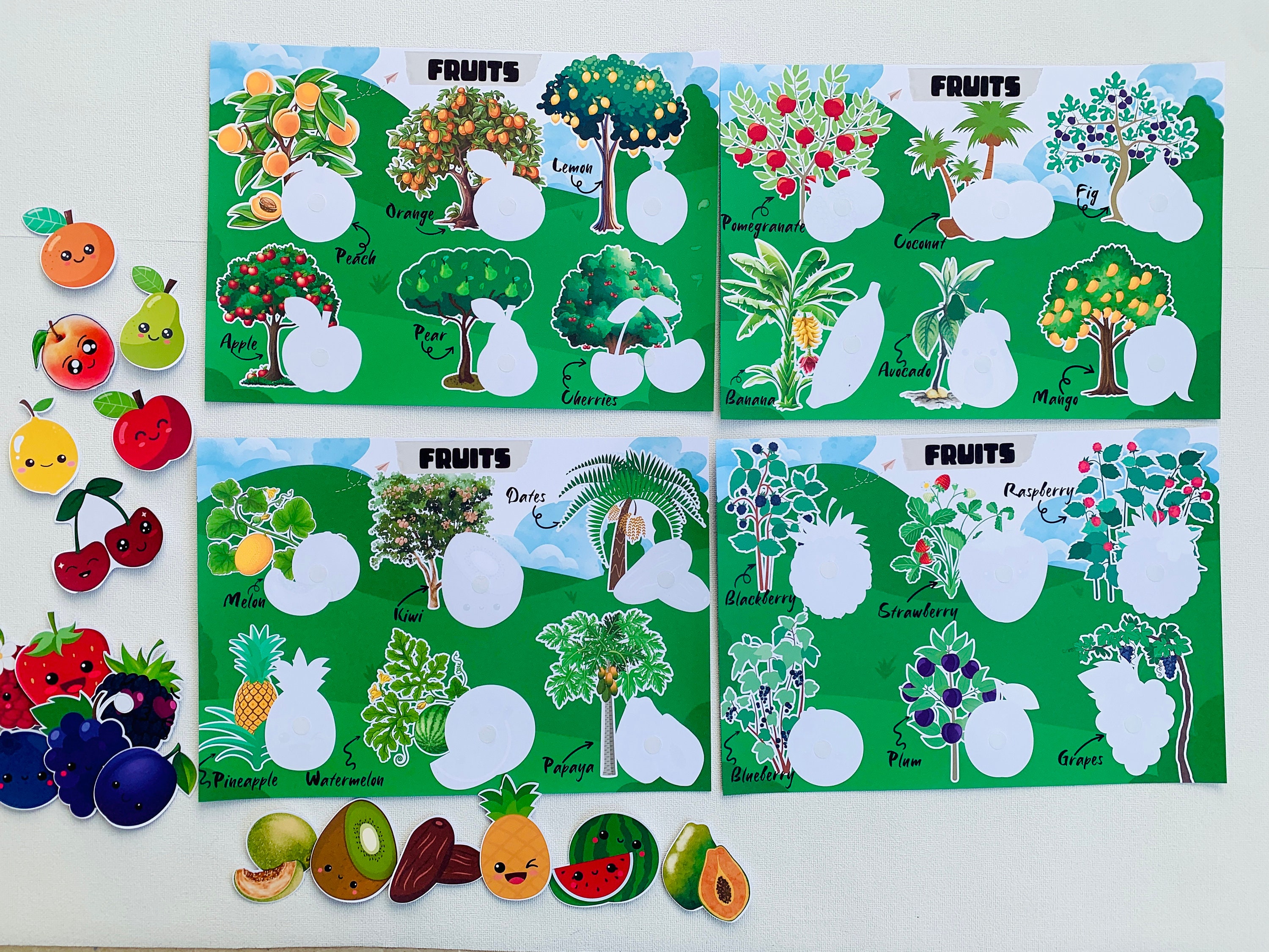 Fruits Sorting Worksheet Fruits and Vegetable Shadow Matching Activity ...