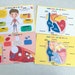 Human Anatomy Activity Circulatory System Anatomical Heart Human Body ...