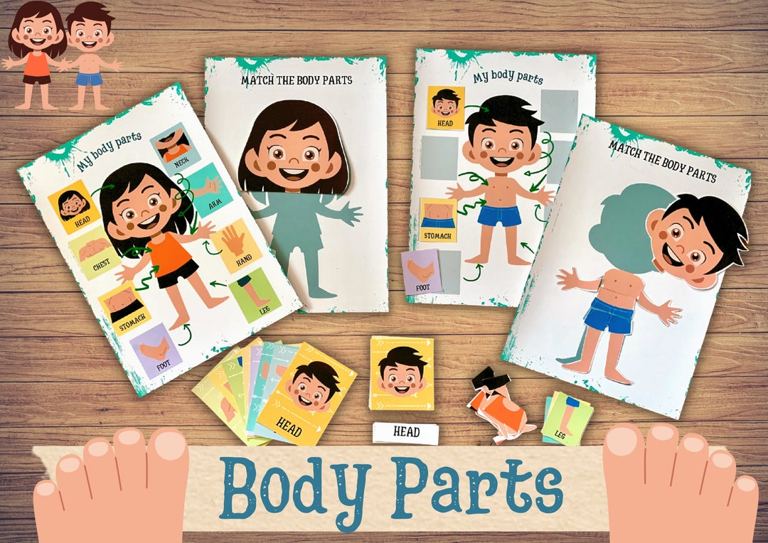 Body Parts Learning Activity Pack: Preschool Anatomy Worksheets ...