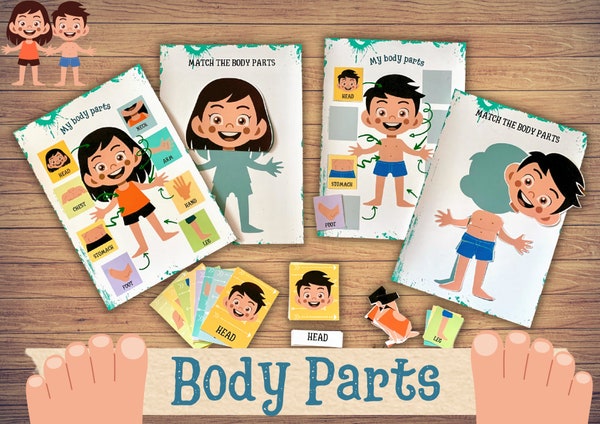 Body Matching Educational Activity Toddler Busy Printable My Body ...