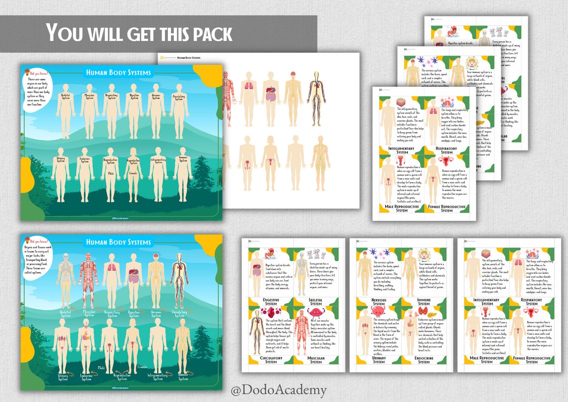 Human Anatomy Busy Book Human Body Systems Body Parts Printable ...