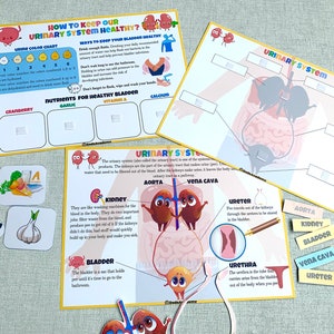 Human Anatomy Busy Book Body Parts Printable Montessori Material ...