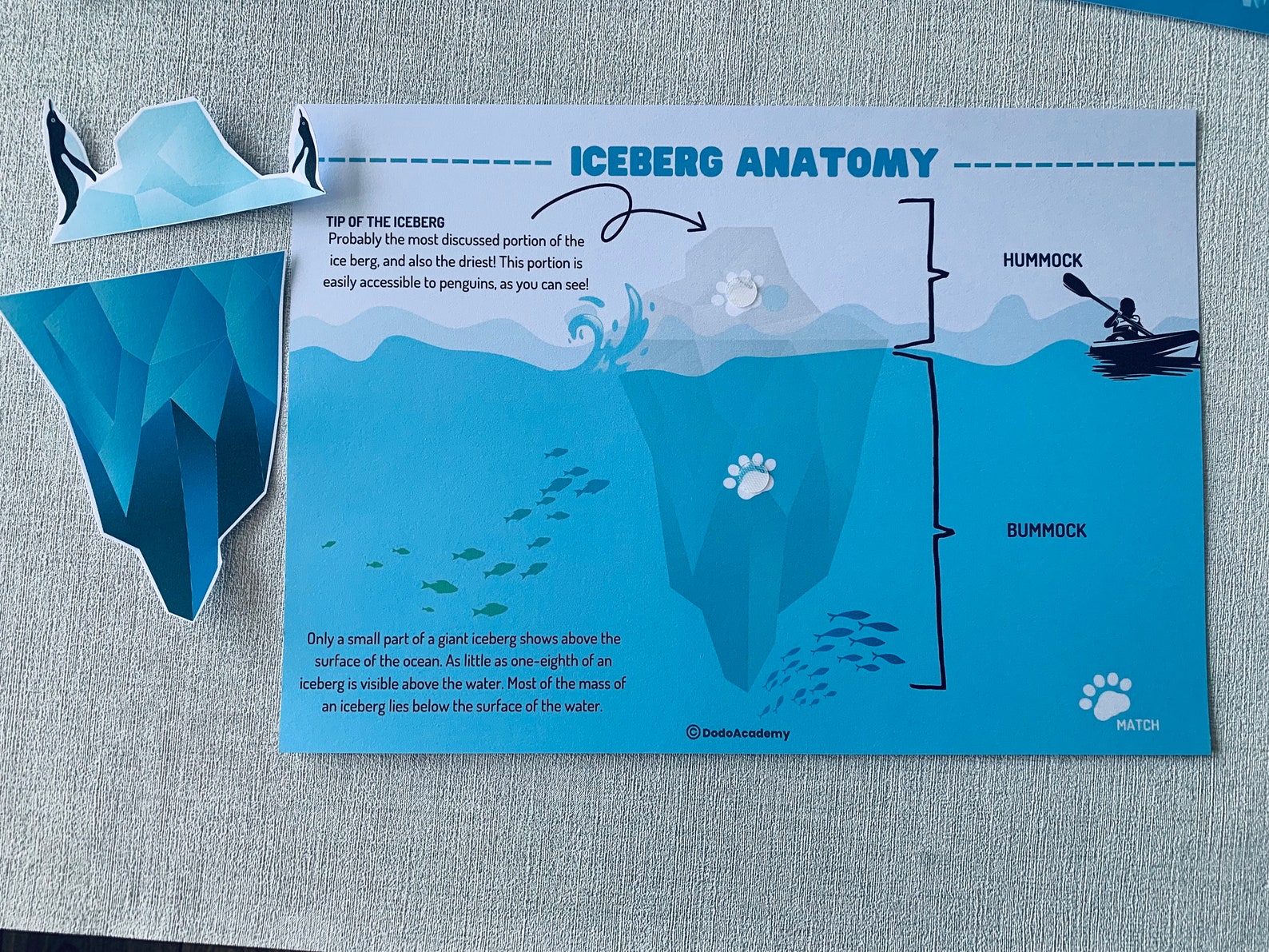 Antarctica Continents & Oceans Printable Activity Pack World - Etsy