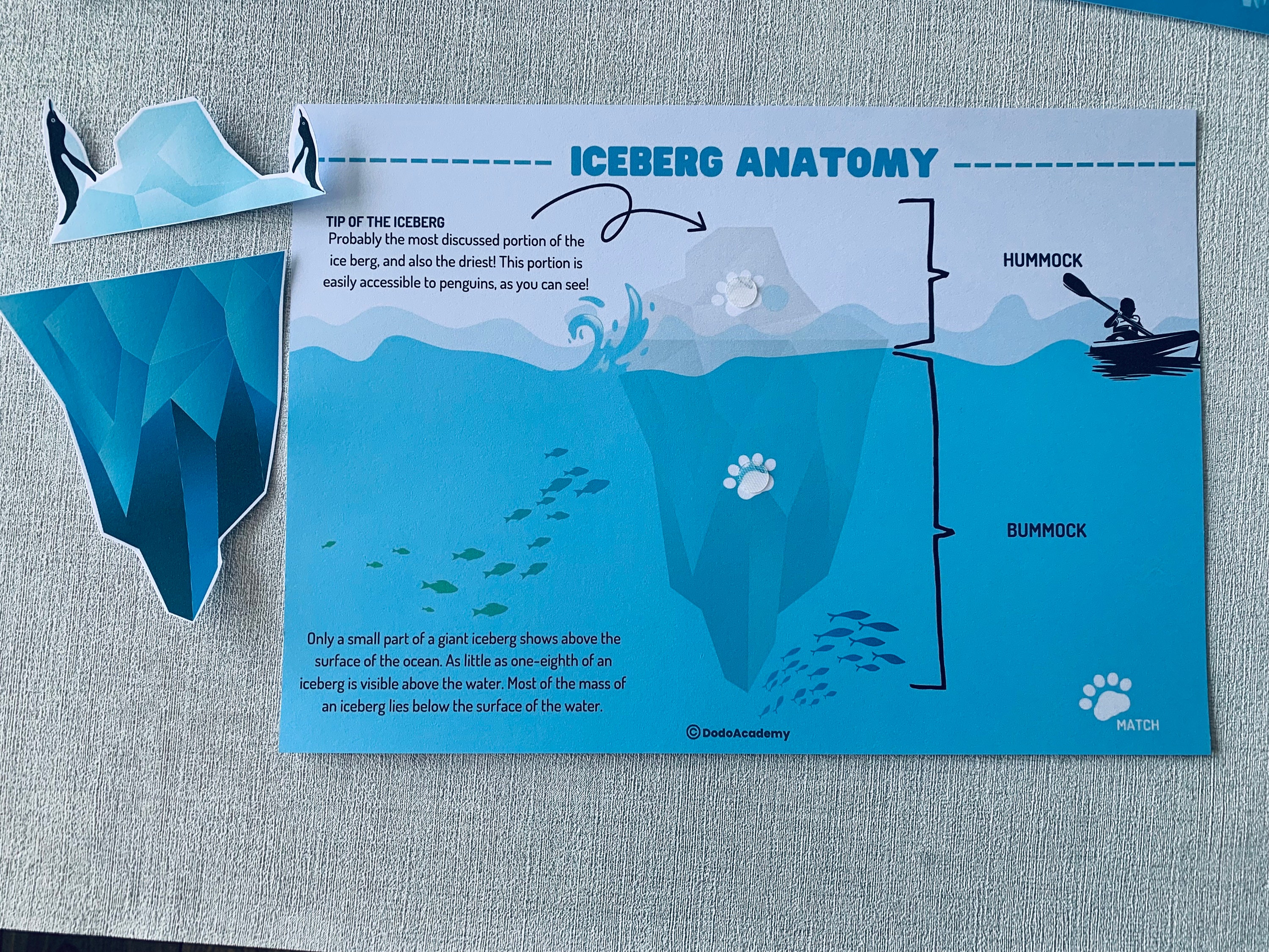 Antarctica Continents & Oceans Printable Activity Pack World - Etsy