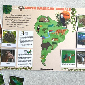 South America Geography Activity Pack: Montessori Map Puzzle (PDF) - Etsy
