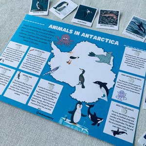 Antarctica Continents & Oceans Printable Activity Pack World Geography ...