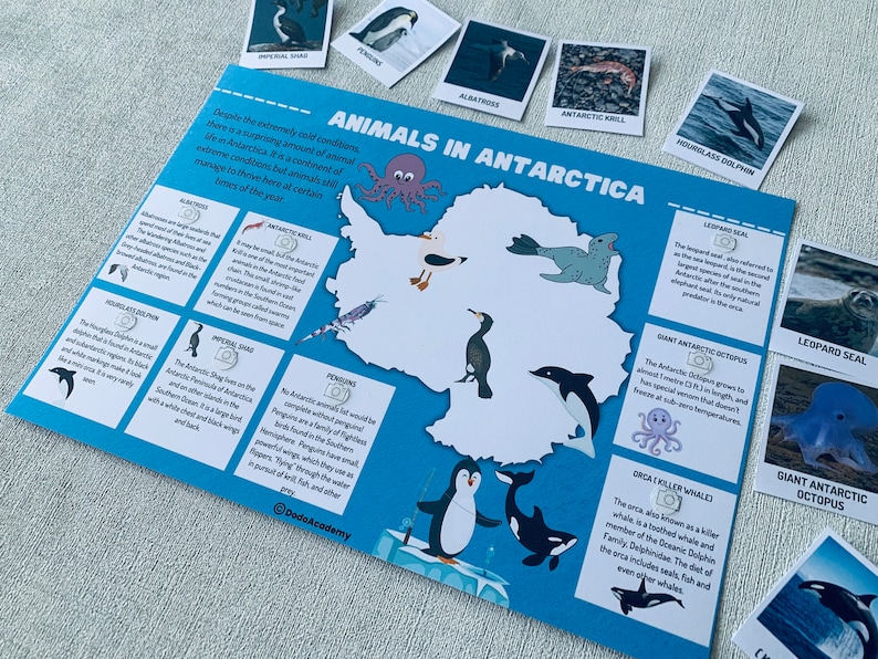 Antarctica Continents & Oceans Printable Activity Pack World Geography ...