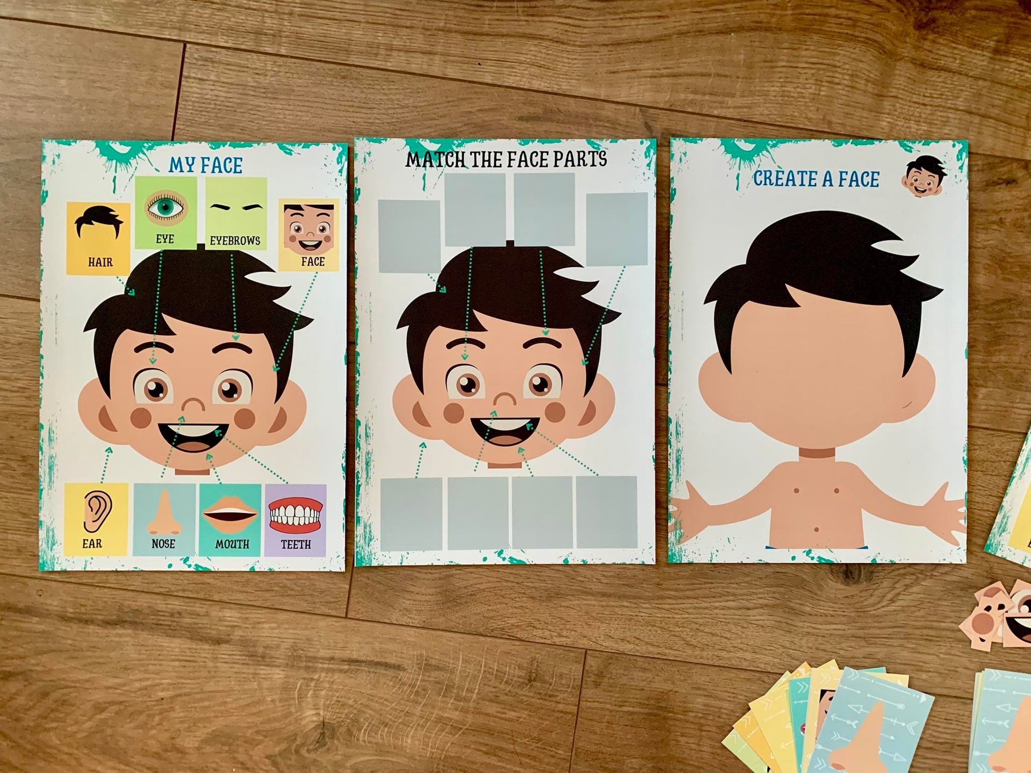 Face Parts Learning Activity Flashcards Human Anatomy Preschool ...