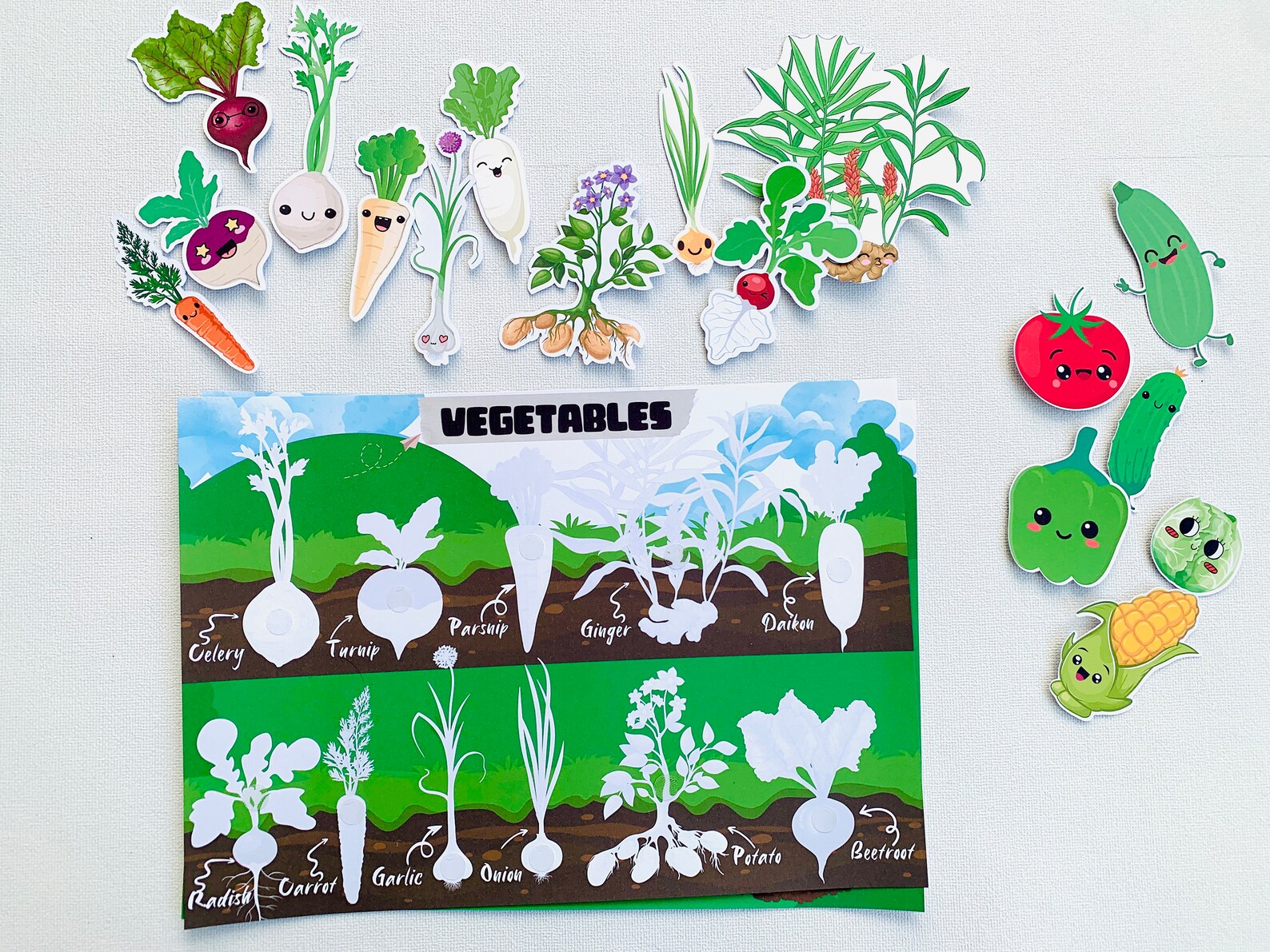 Vegetable Shadow Matching Worksheet: Montessori Learning Binder (PDF ...