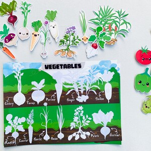 Vegetables Sorting Worksheet Fruits and Vegetable Shadow Matching ...