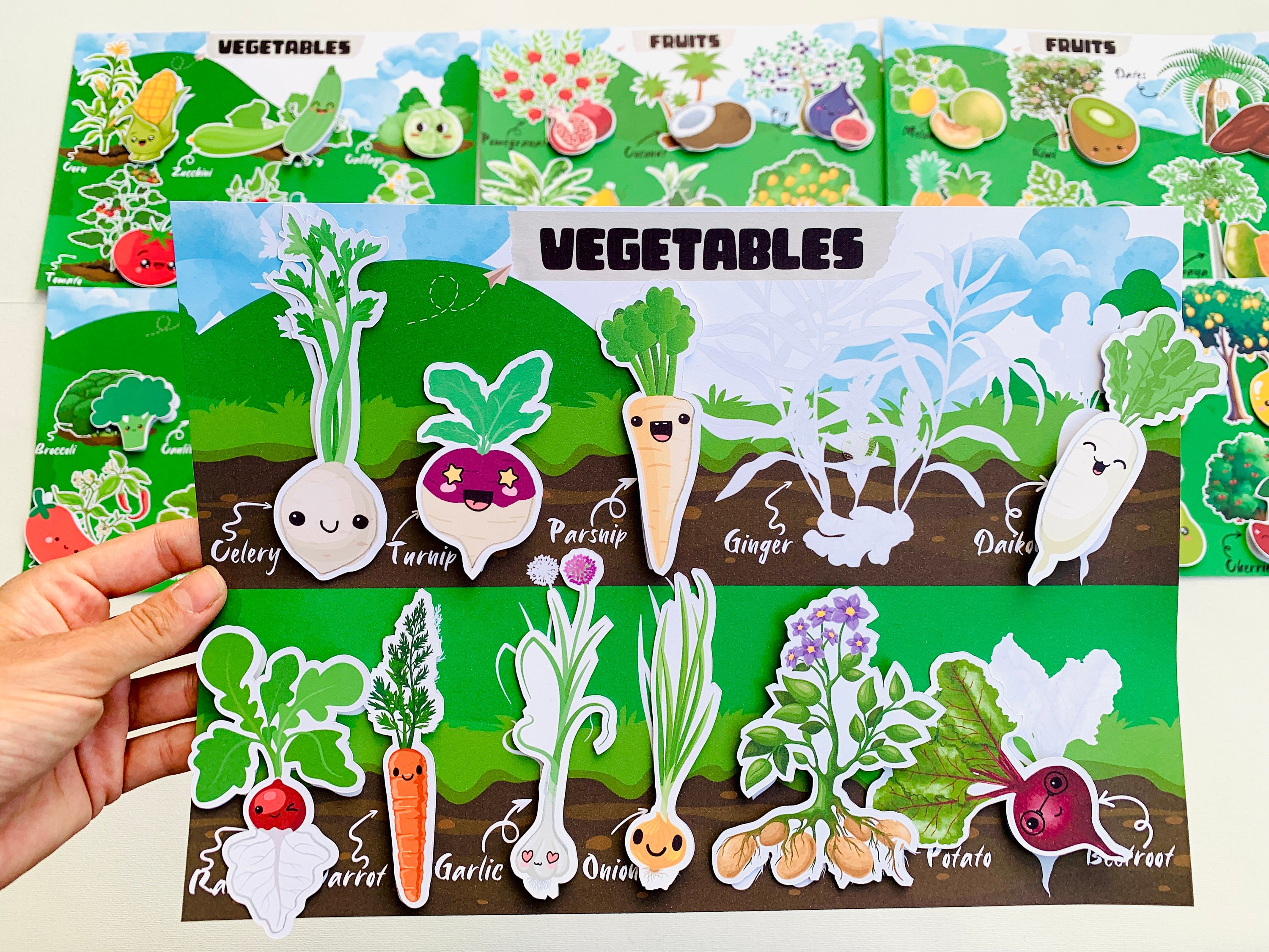 Fruits and Vegetable Sorting Worksheet Fruits and Veggies Shadow ...