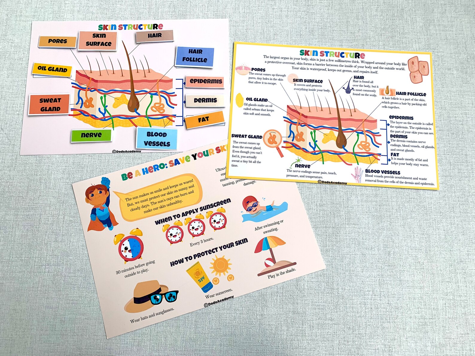 Human Anatomy Busy Book Human Skin Structure Body Systems Body - Etsy