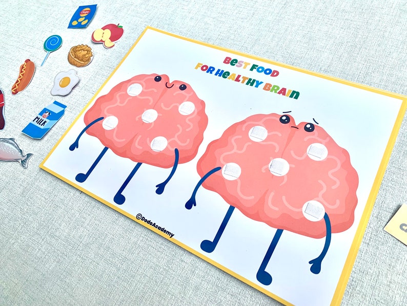 My Amazing Brain Learning Activity Human Anatomy Busy Book Montessori ...