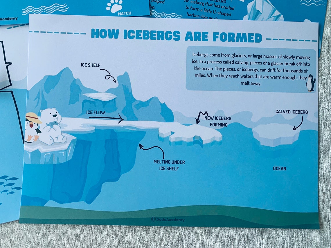 Antarctica Continents & Oceans Printable Activity Pack World - Etsy