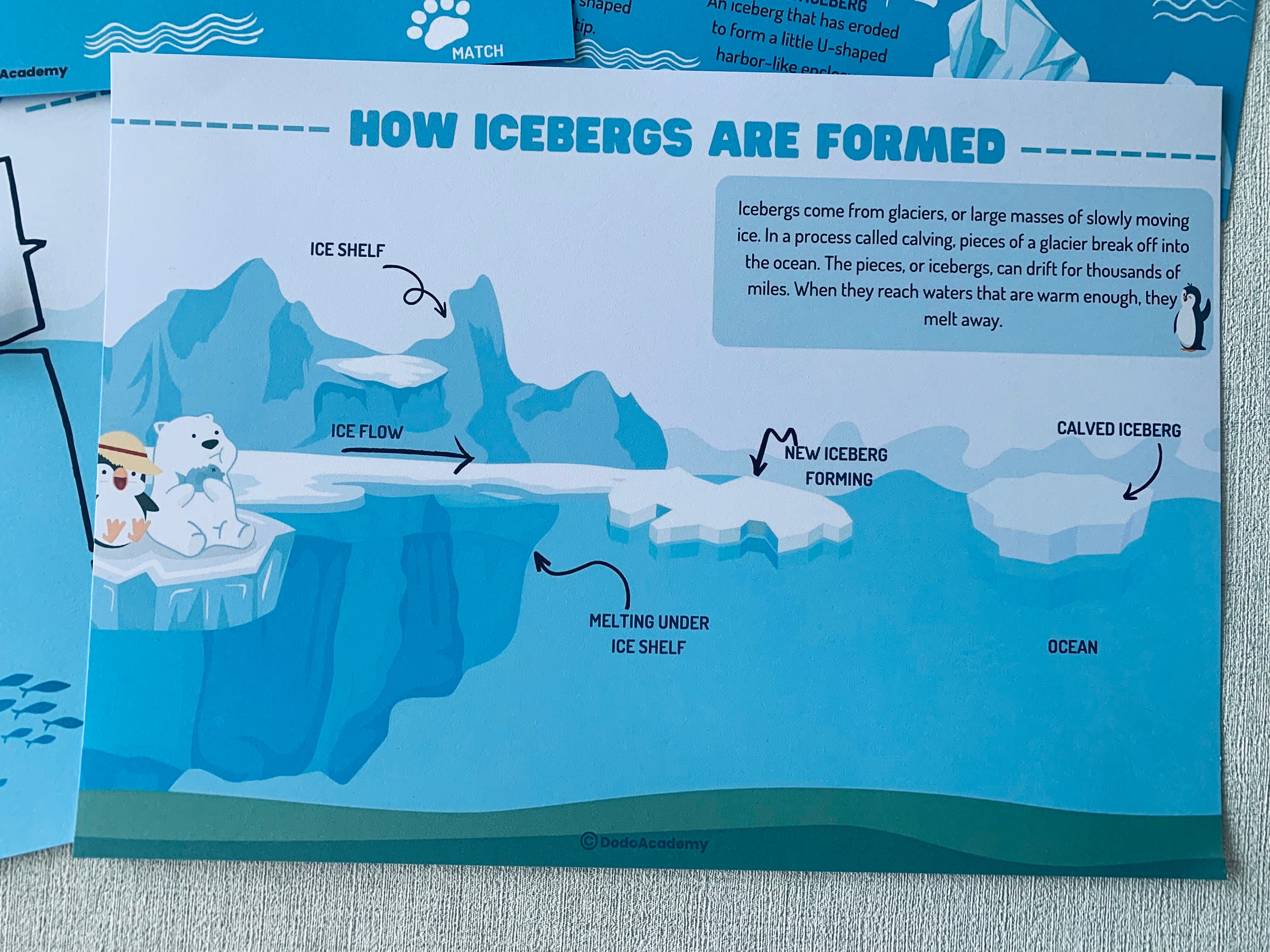 Antarctica Continents & Oceans Printable Activity Pack World - Etsy