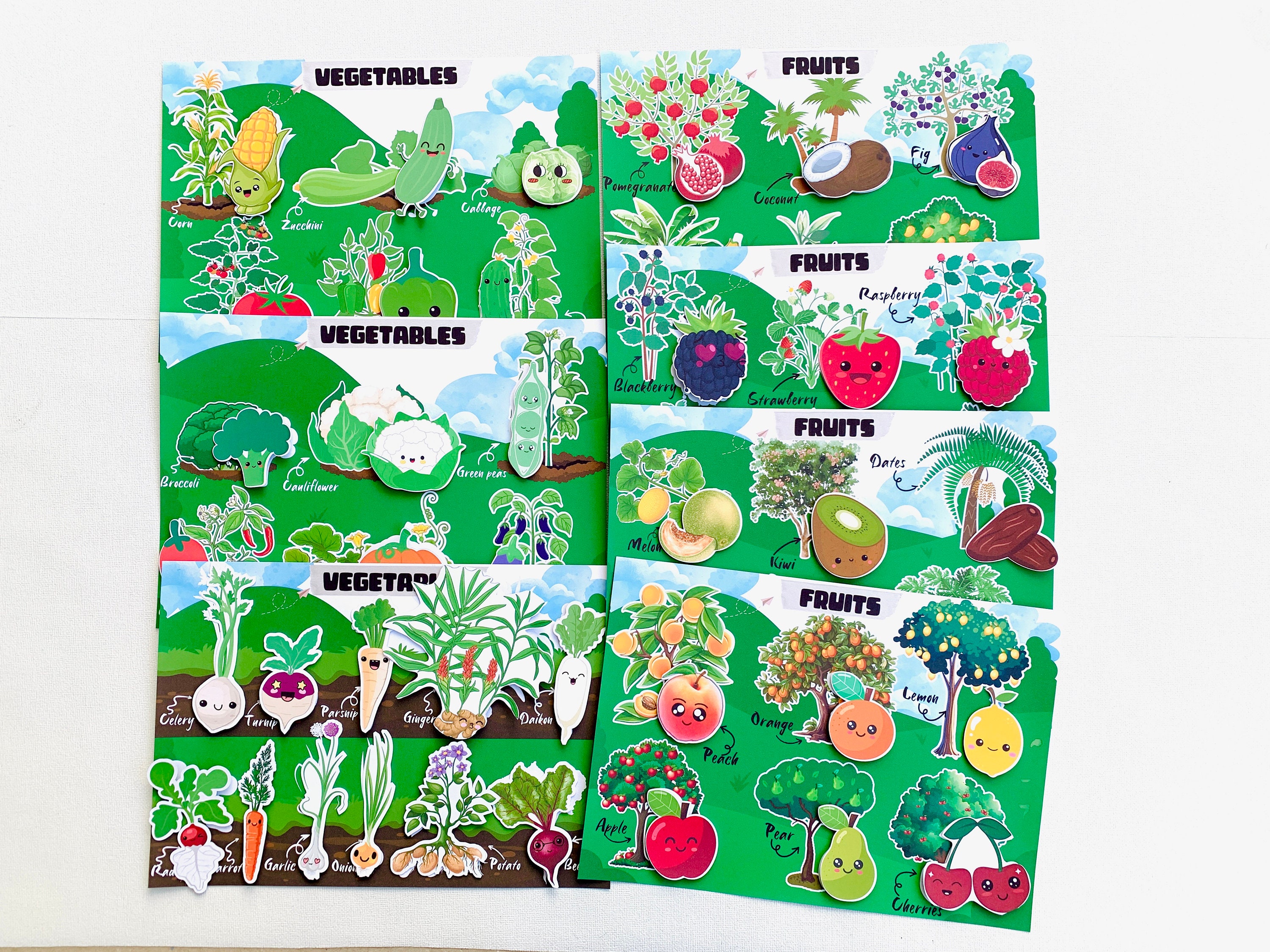 Fruits and Vegetable Sorting Worksheet Fruits and Veggies Shadow ...