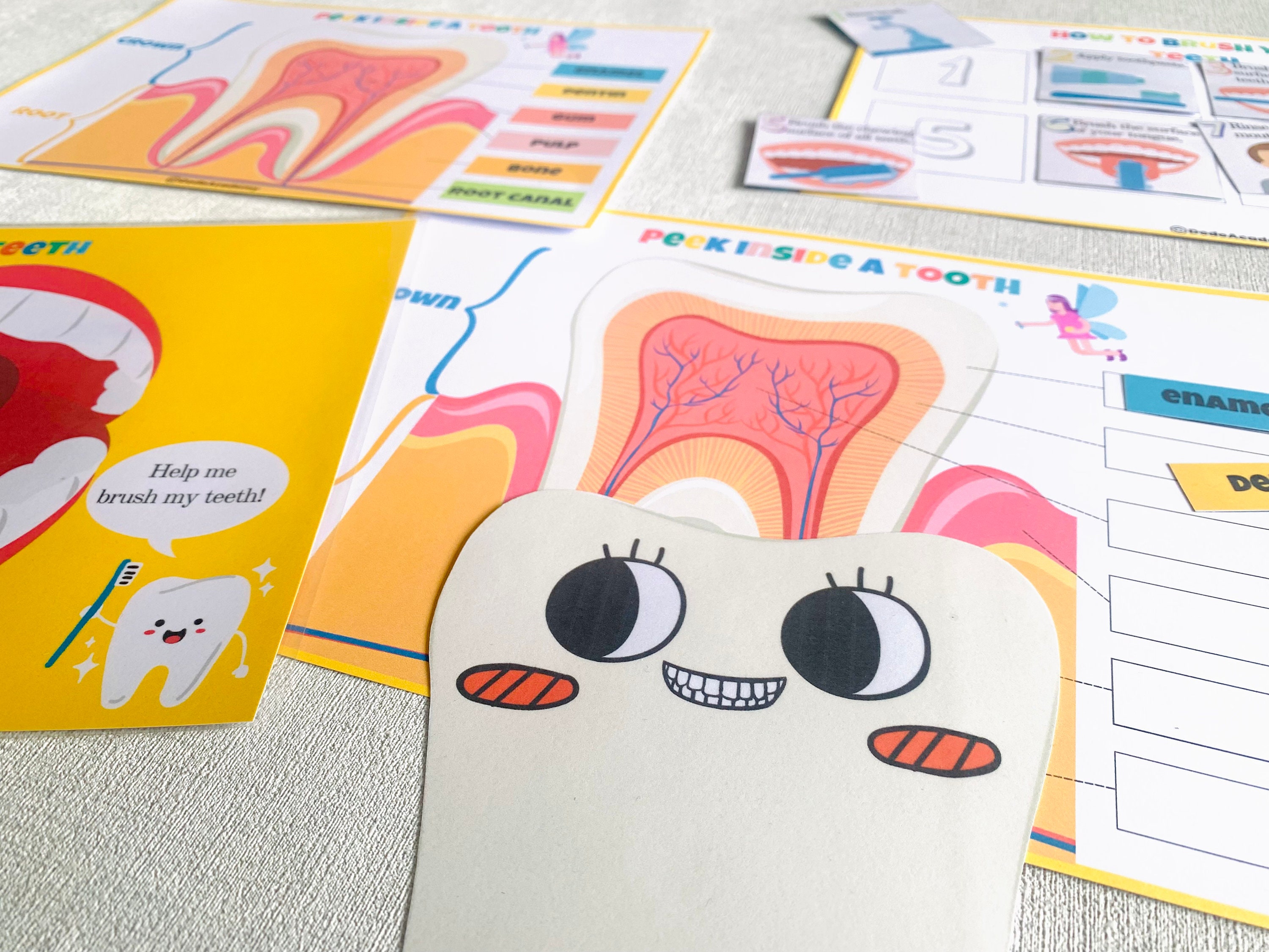 Dental Health Activity Human Anatomy Printable Preschool Toddler ...