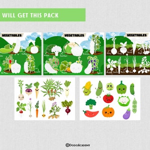Vegetables Sorting Worksheet Fruits and Vegetable Shadow Matching ...