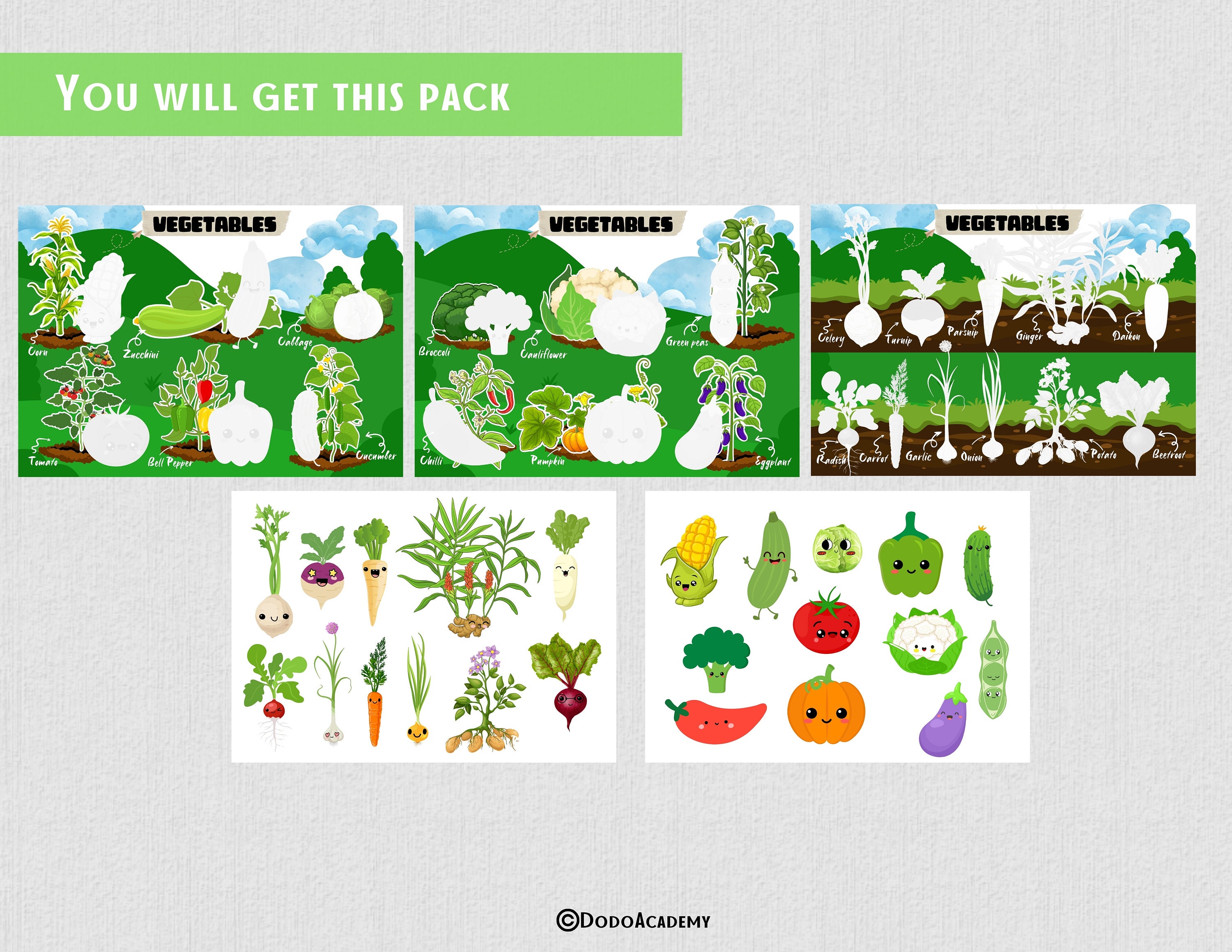 Vegetables Sorting Worksheet Fruits and Vegetable Shadow Matching ...