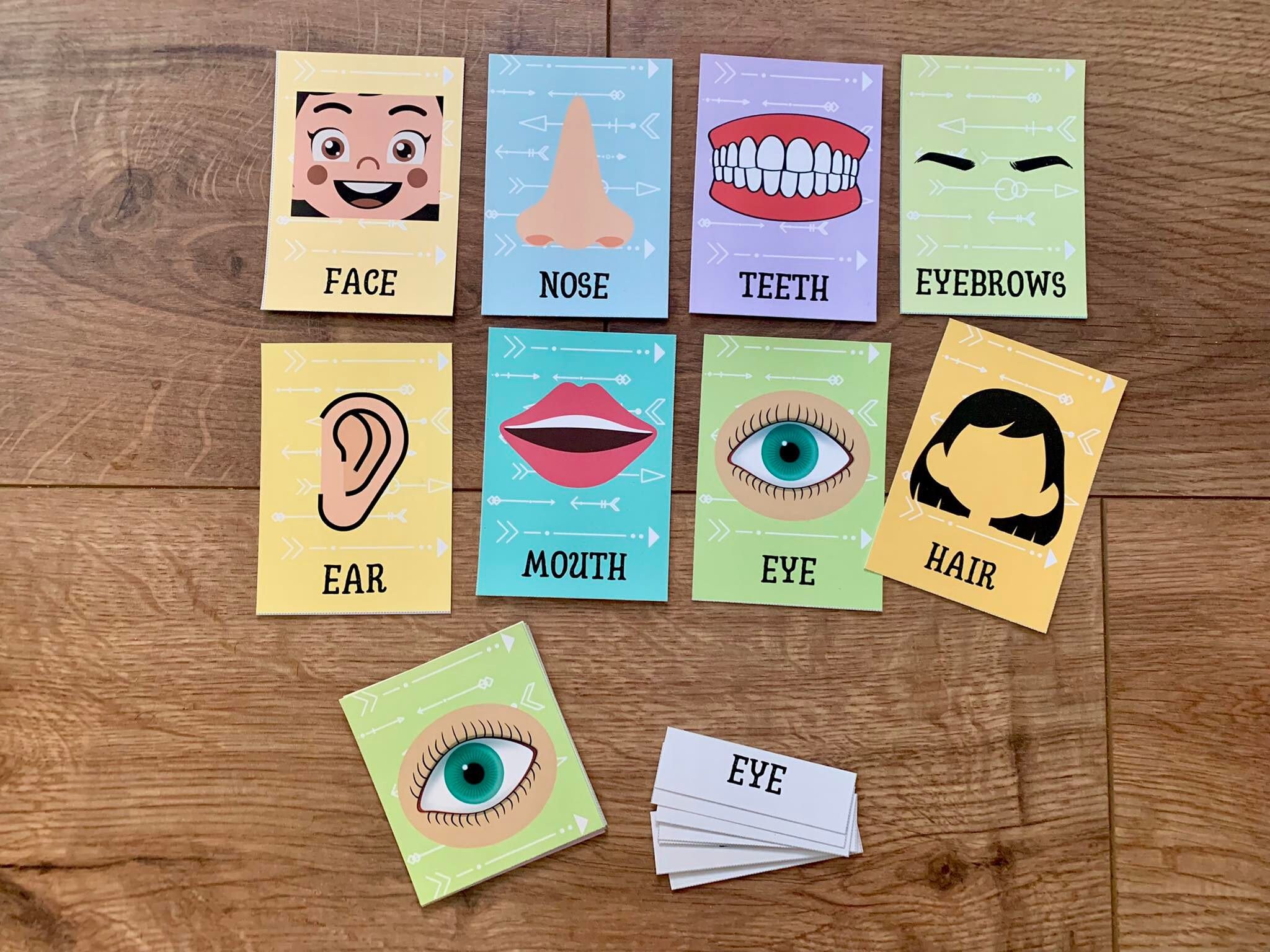Face Parts Learning Activity Flashcards Human Anatomy Preschool ...