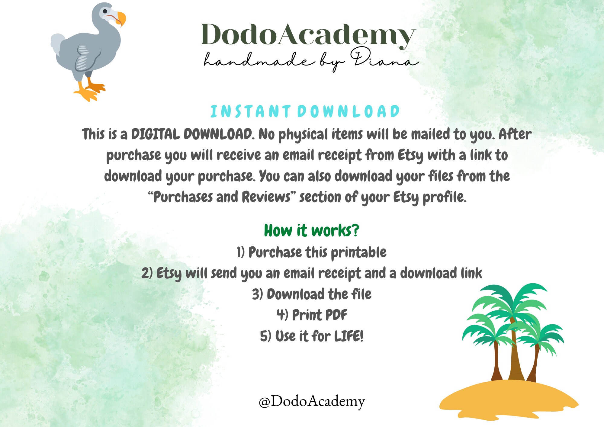 Human Anatomy Activity Circulatory System Anatomical Heart Human Body ...