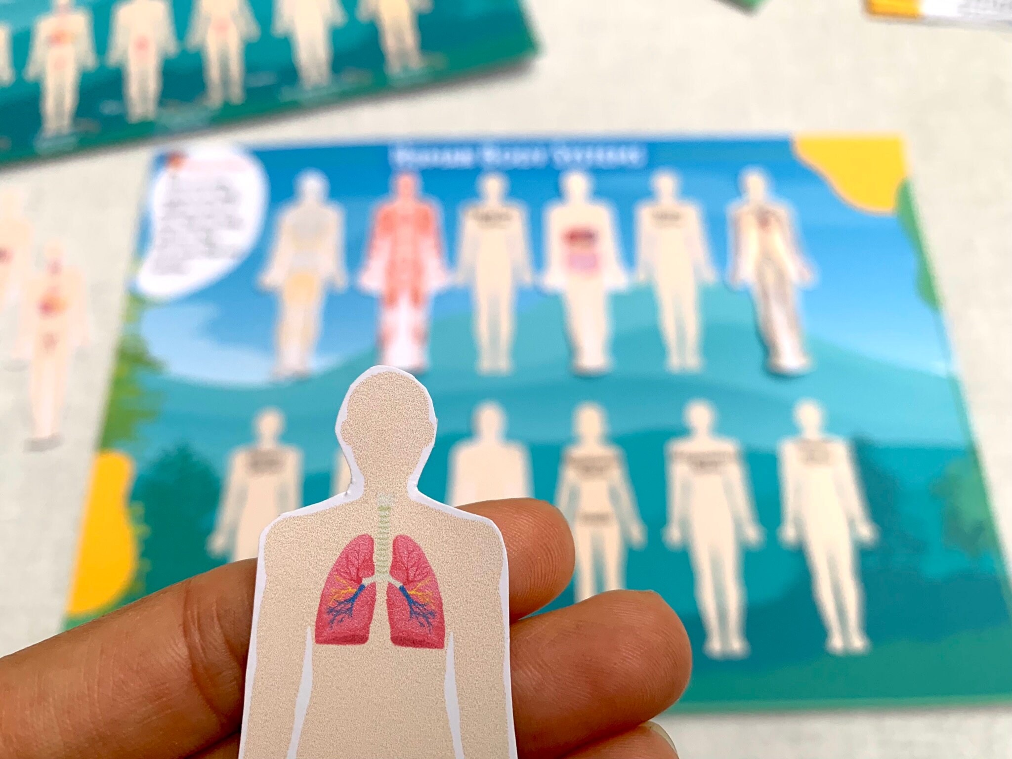 Human Anatomy Busy Book Human Body Systems Body Parts Printable ...