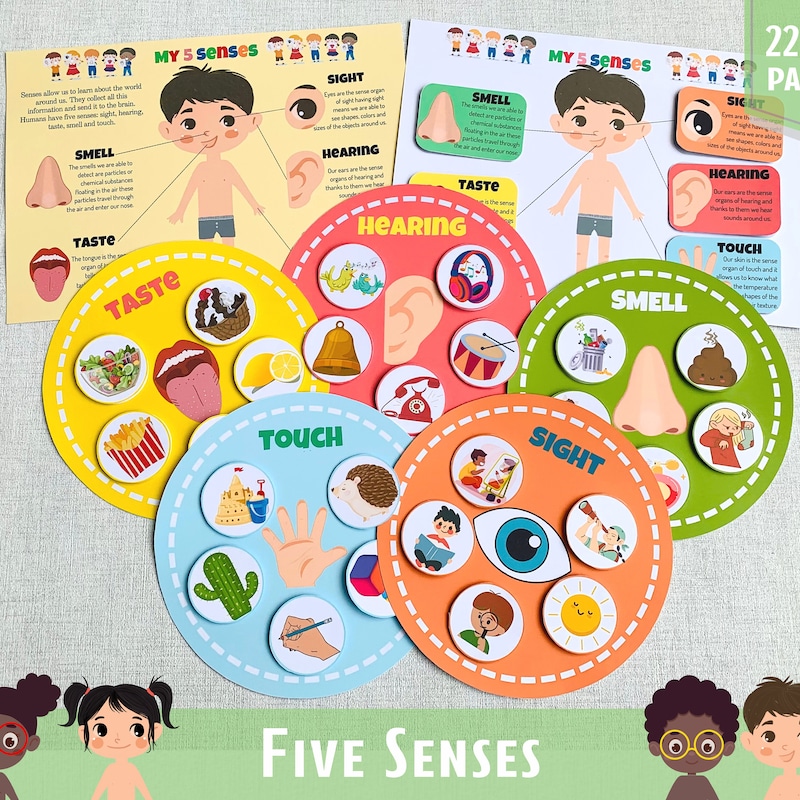 Five Senses Preschool - Etsy