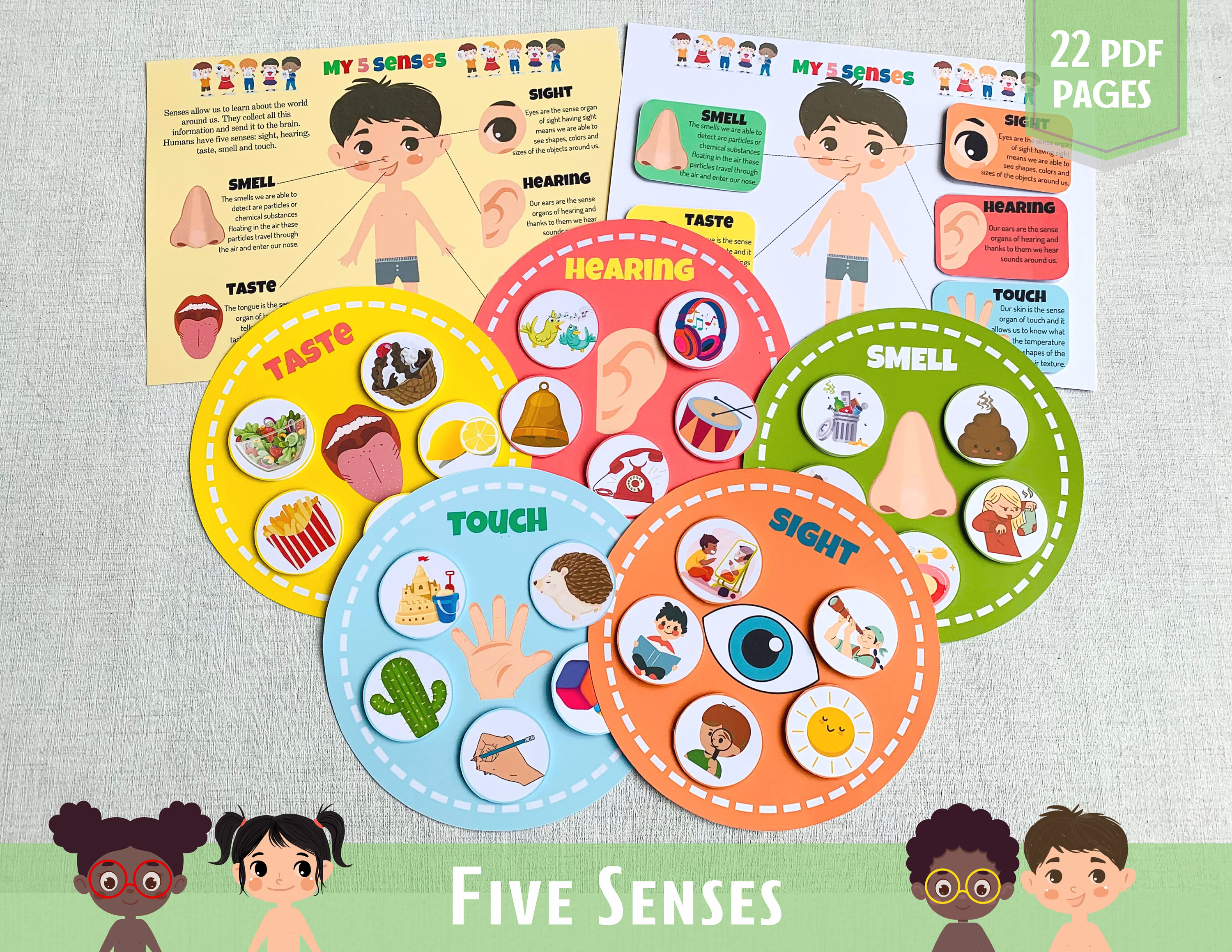 Five Senses Sorting Activity Printable 5 Senses Sorting - Etsy Australia