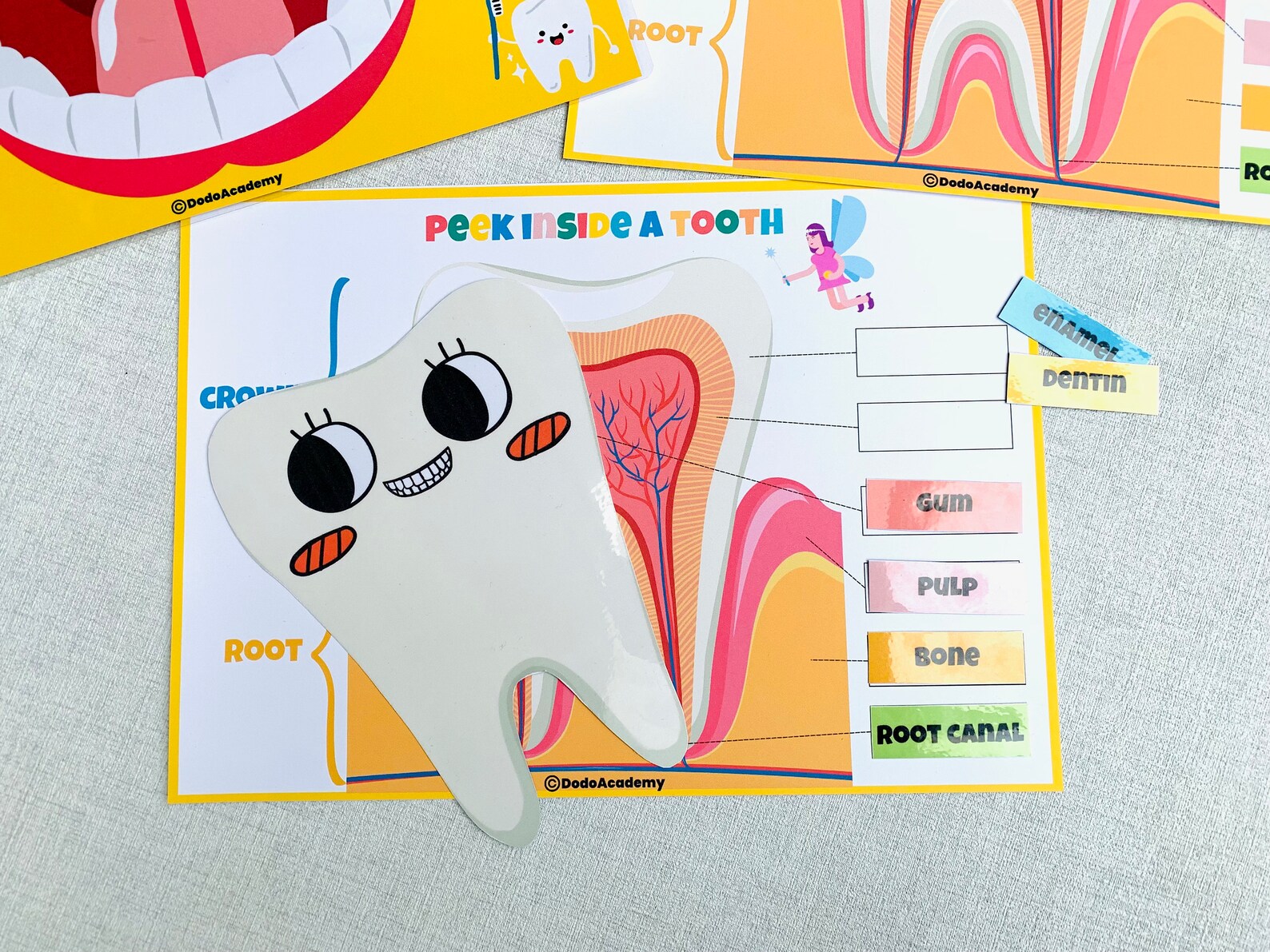 Dental Health Activity Human Anatomy Printable Preschool Toddler ...