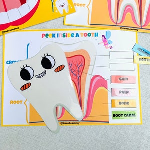 Dental Health Activity Human Anatomy Printable Preschool Toddler ...