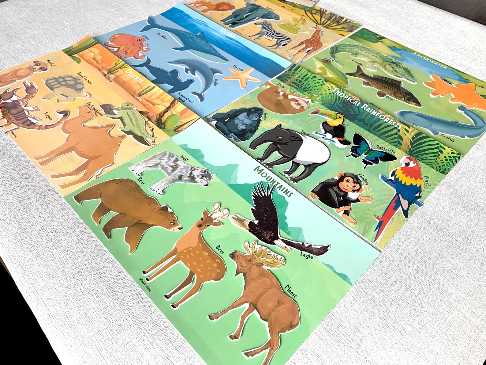 Animal Habitats Matching Game Geography Sorting Activity Animal Fun ...
