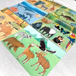 Animal Habitats Matching Game Geography Sorting Activity Animal Fun ...