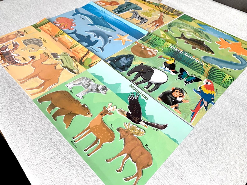 Animal Habitats Matching Game Geography Sorting Activity - Etsy