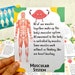 Human Anatomy Busy Book Human Body Systems Body Parts Printable ...